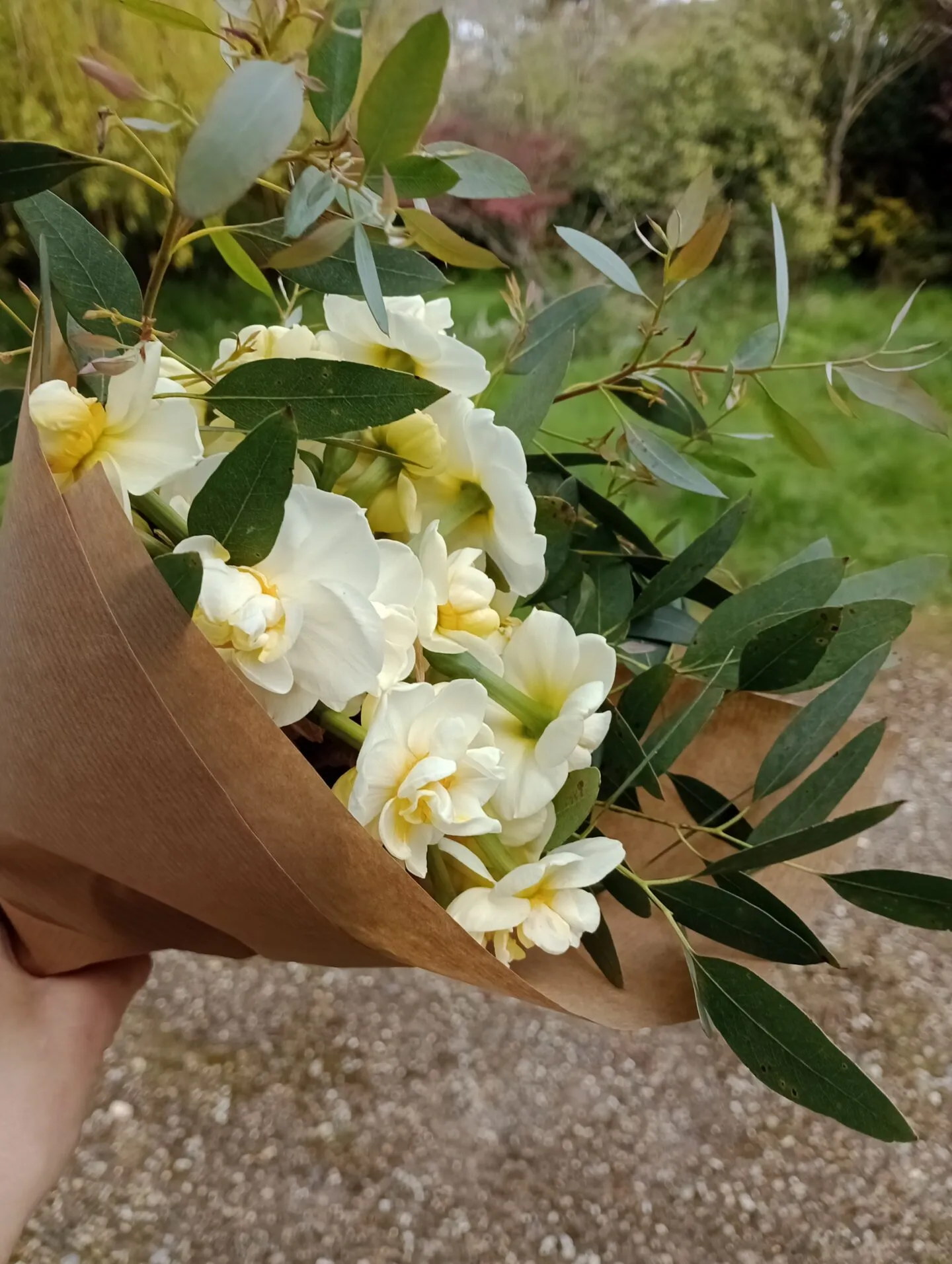 Buy Jordans Farm Flowers and Foliage