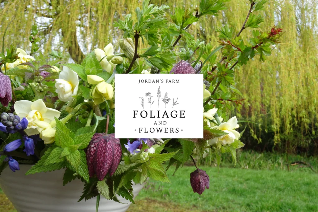 Flower & Foliage Farm: Spring Blooms - Jordan's Farm