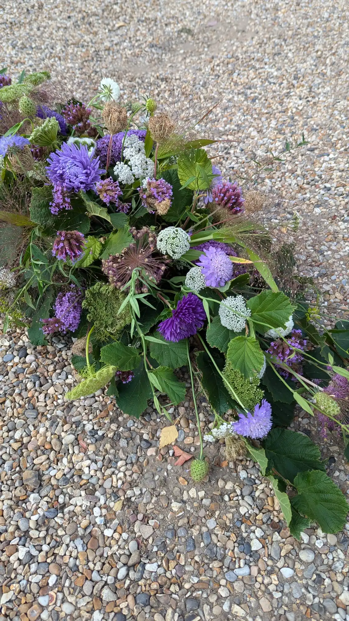 Buy Jordans Farm Flowers and Foliage